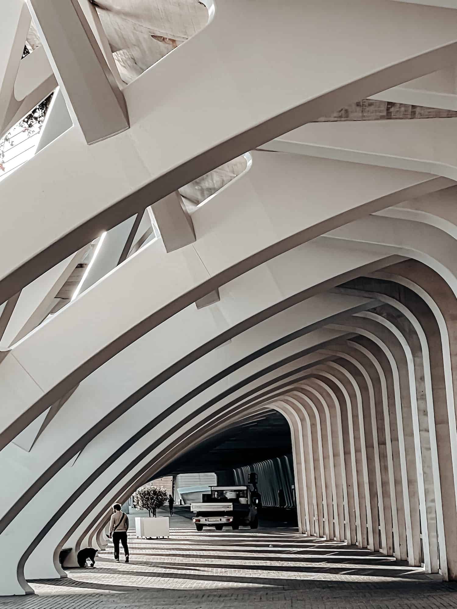 Regal Construction | Elite Custom Homes & Renovations